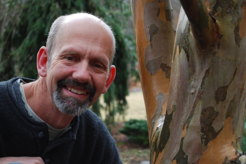 Beyond the Traditional Butterfly Garden: Supporting Lepidoptera with ...